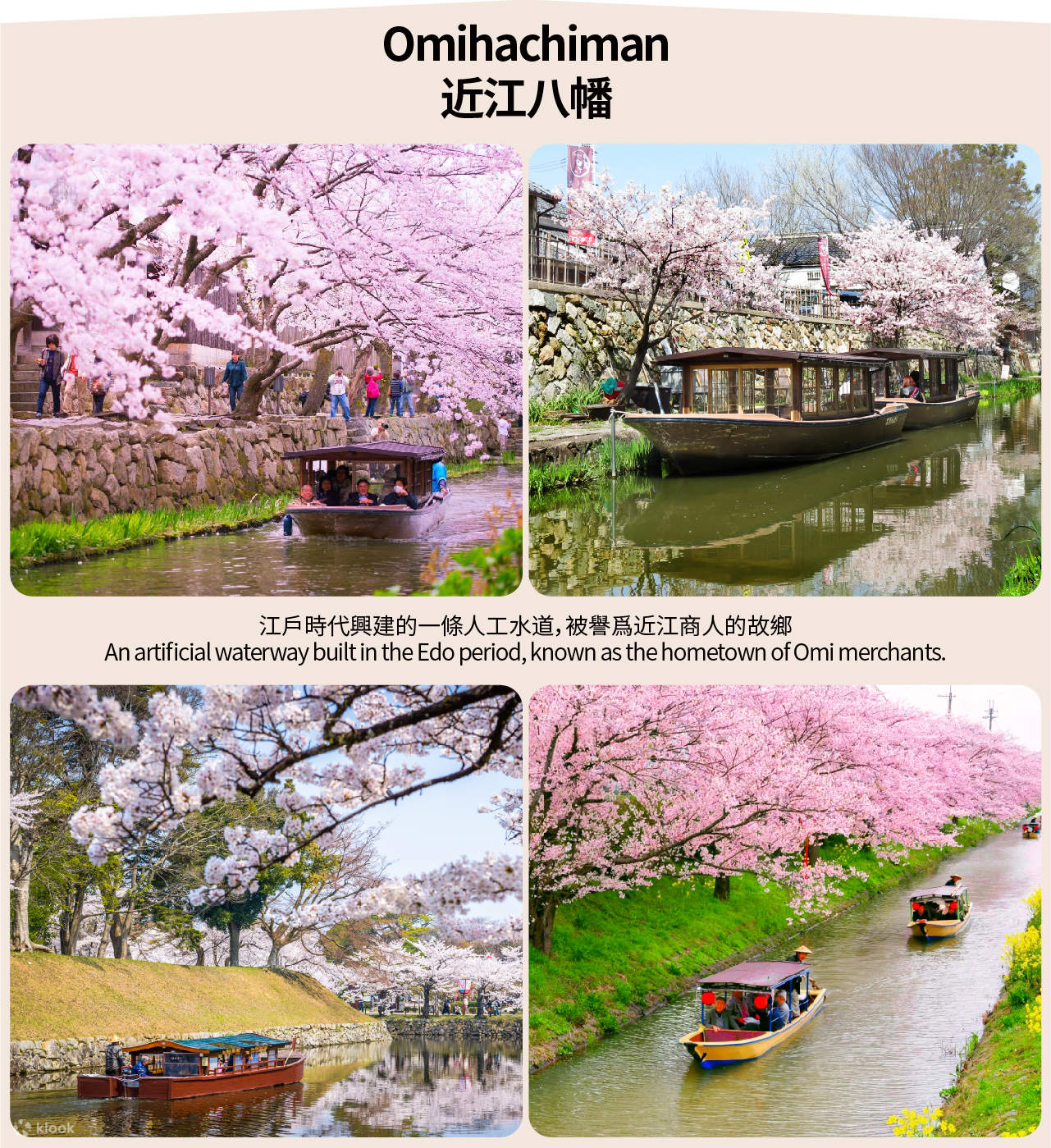 [Sakura Season Limited to Kansai Shiga Cherry Blossom Viewing] Miho ...
